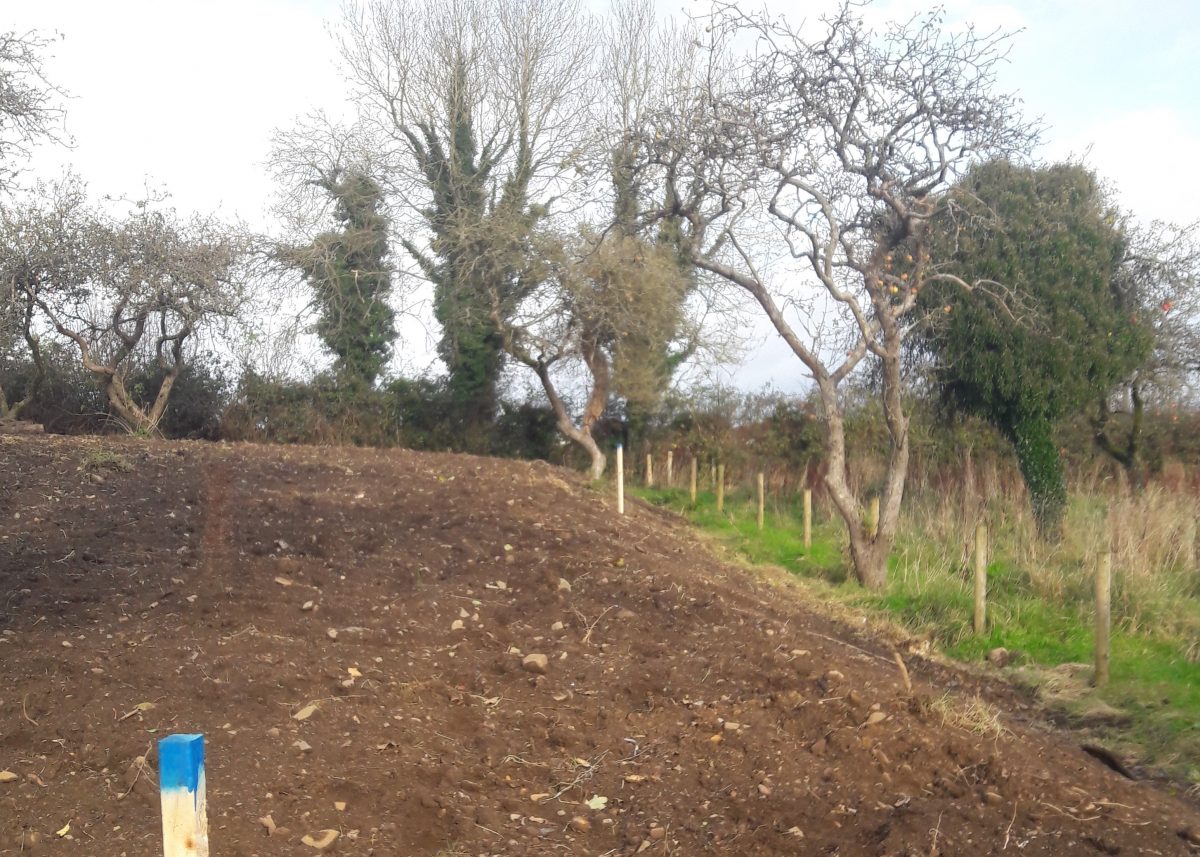 Setting Out - Control Surveys