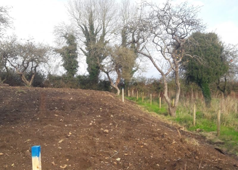 Setting Out - Control Surveys